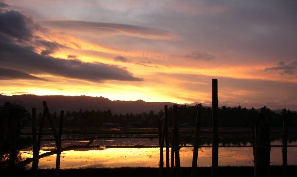 Palayan Sunset - Member's own albums - ArtFreaks.com