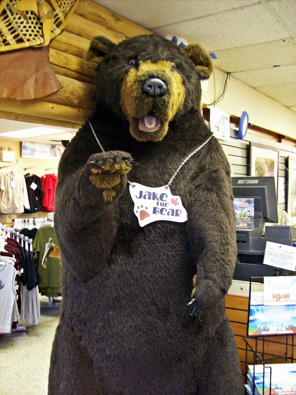 Jake The Bear - Member's own albums - ArtFreaks.com