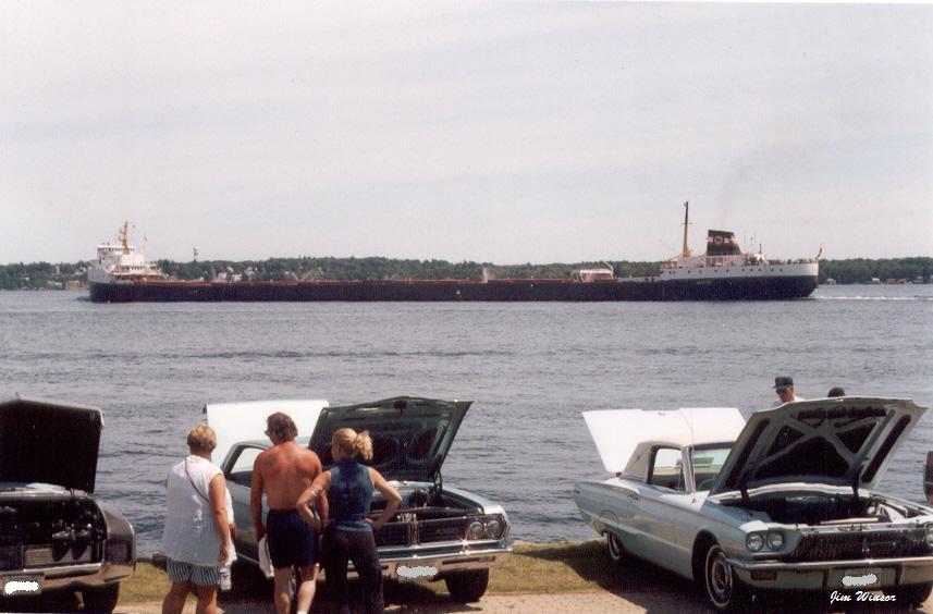 ALGOCEN - Member's own albums - ArtFreaks.com