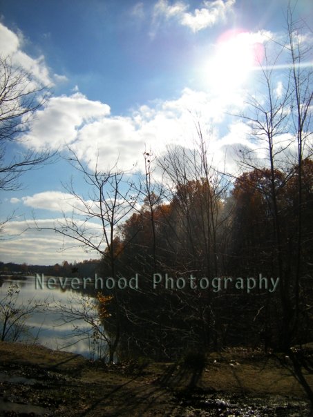 NLQP Camping trip - ArtFreaks.com