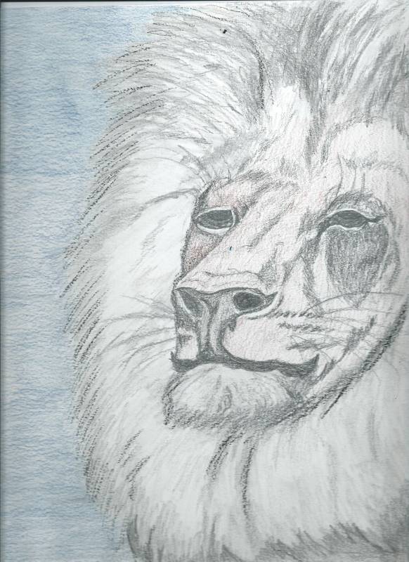 Courage - Drawings, sketches, cartoons - (any media, any subject ...