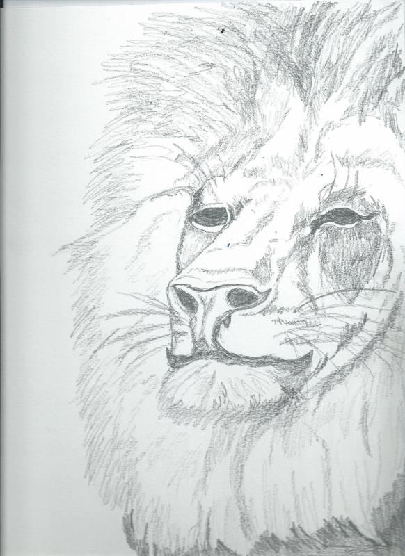 Courage - Drawings, sketches, cartoons - (any media, any subject ...